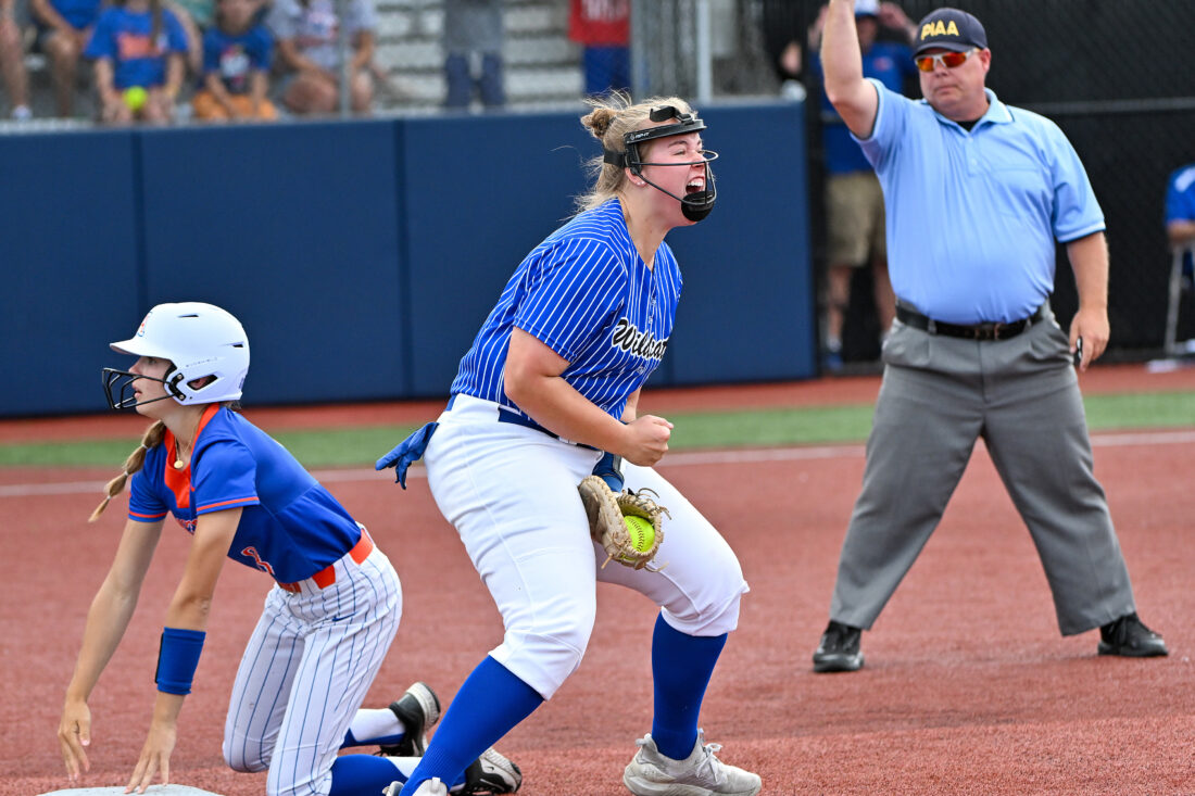 Defense helped Central Mountain softball get revenge on Armstrong in ...